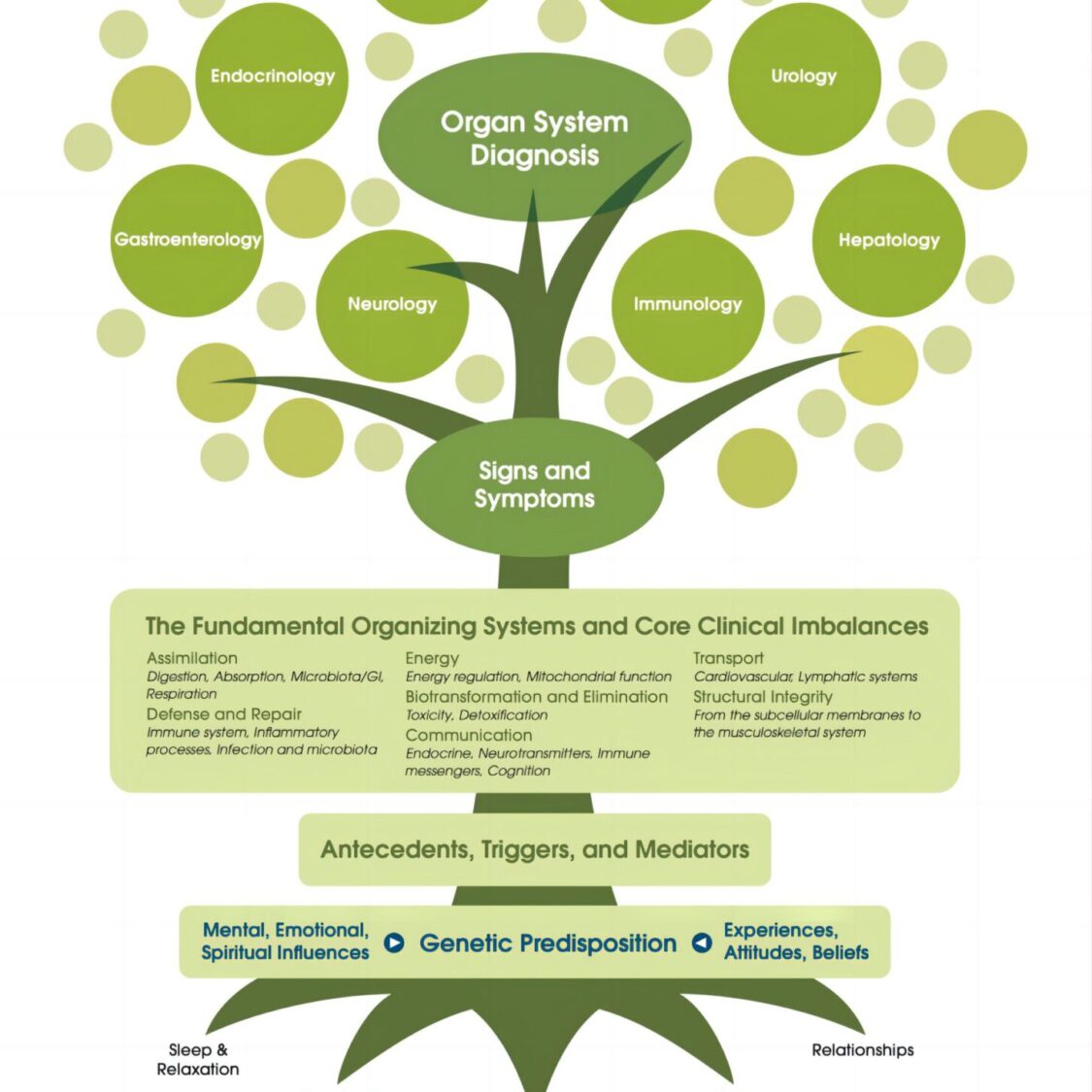 The Benefits of Functional Medicine - tcm-shanghai